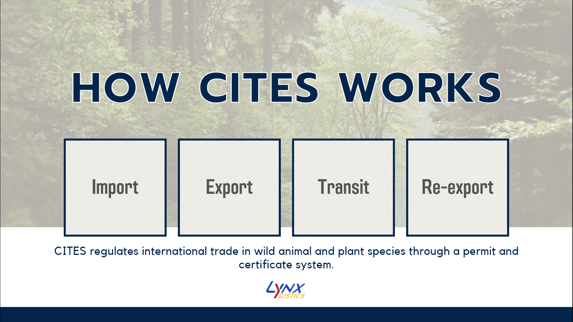 FAQ - Lynxgistics Inter Freight Co., Ltd.